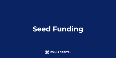 Seed Funding: Definition, Process & Typical Terms | Esinli Capital